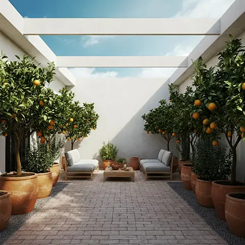 Services – Tolson Irrigation